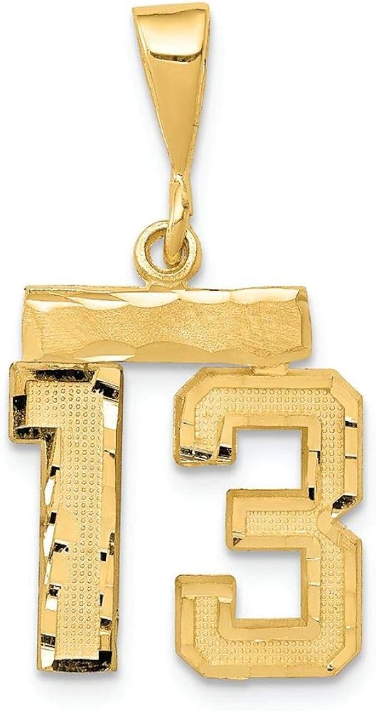 Amazon.com: Finejewelers 14k Yellow Gold Small Bright Cut Number 13 ...