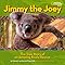 Jimmy the Joey: The True Story of an Amazing Koala Rescue: Rose ...