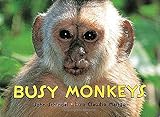 Capuchin Monkeys, Do These Primates Make Good Pets?