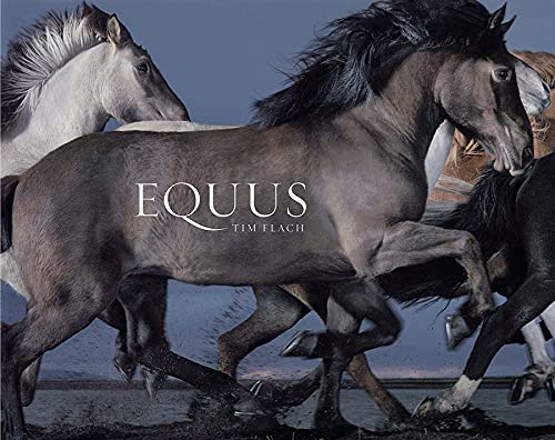 Equus: Flach, Tim: 9780810971424: Books - Amazon.ca