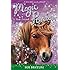 Amazon.com: Winter Wonderland #5 (Magic Ponies) (9780448467863): Sue ...