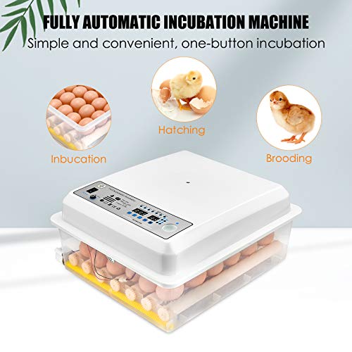 Fully Automatic 36 Eggs Incubators, Intelligent Warming Egg Incubators ...