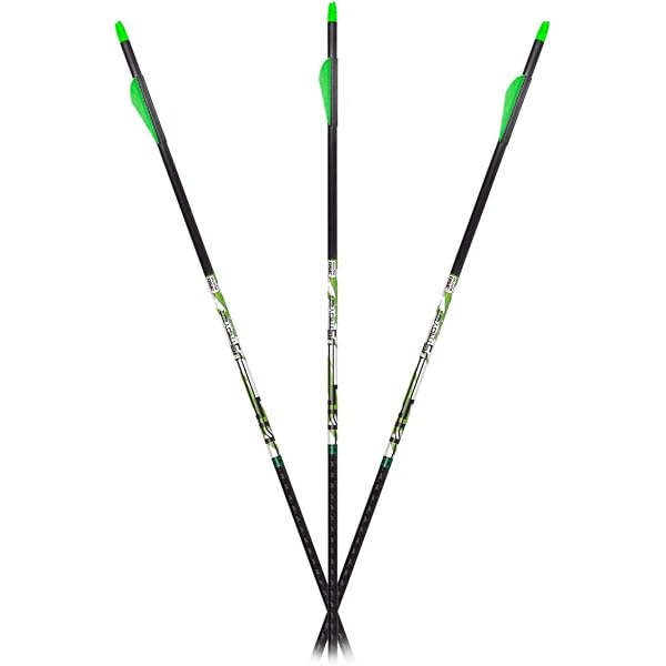 Carbon Express Arrows Carbon Express Gameslayer Arrows - 250 Spine ...