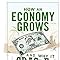 How an Economy Grows and Why It Crashes: Amazon.de: Schiff ...