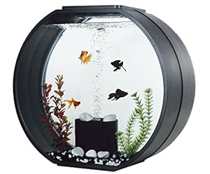 Fish R Fun Deco Tank, 54 Litre, Black: Amazon.co.uk: Pet Supplies