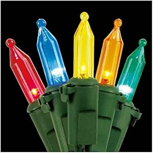 Amazon.com : Home Accents Holiday 100-Light LED Multi-Color Mini Light ...