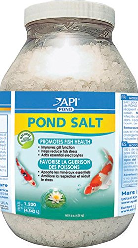 API POND SALT Pond Water Salt 9.6-Pound Container - Want It All