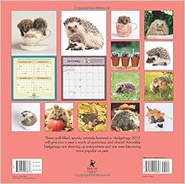 Hedgehogs 2015: 16-Month Calendar September 2014 through December 2015 ...