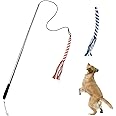 Amazon.com : IAIGOGO Flirt Pole Toy for Dogs Pet Extendable Teaser Wand ...