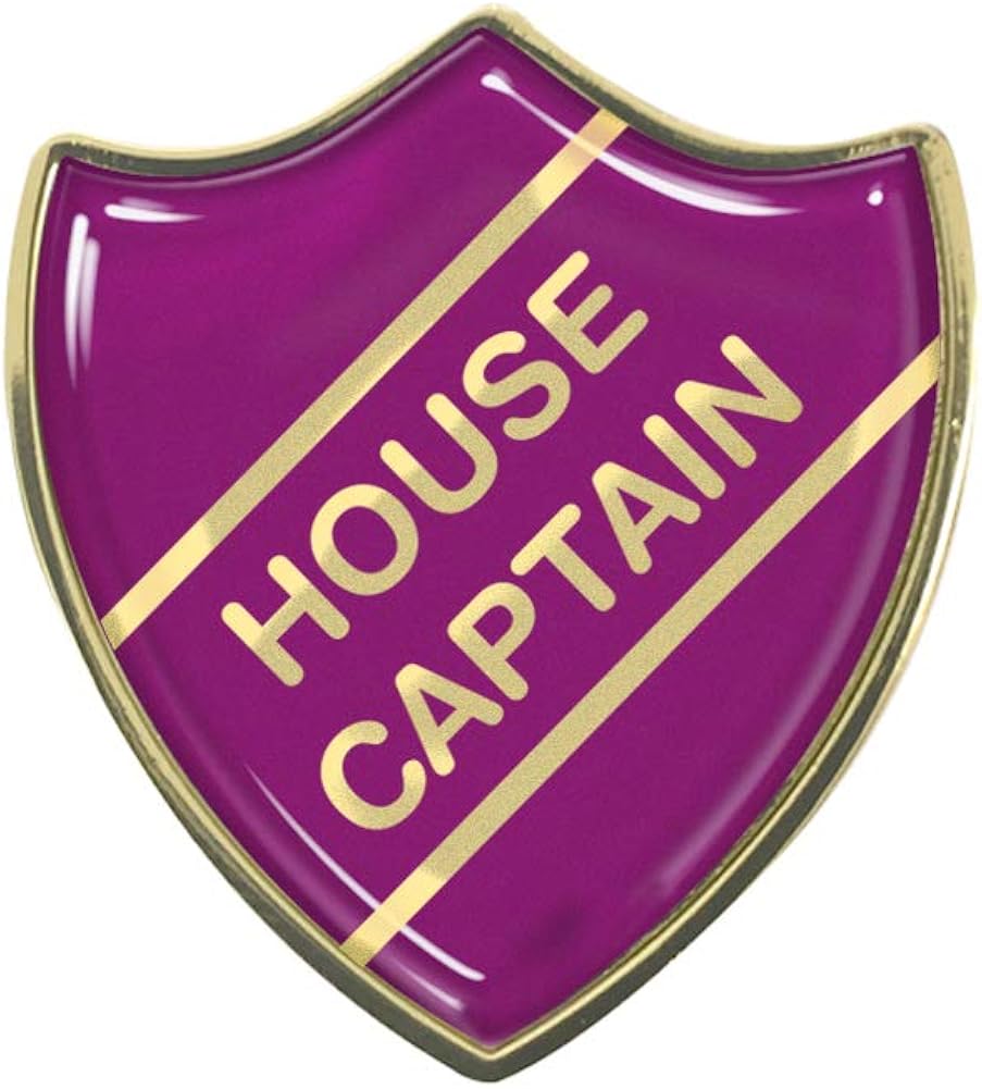 House Captain Purple Gel Domed School Shield Badge: Amazon.co.uk: Clothing