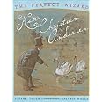 Perfect Wizard, The: Hans Christian Andersen: Yolen, Jane, Nolan ...