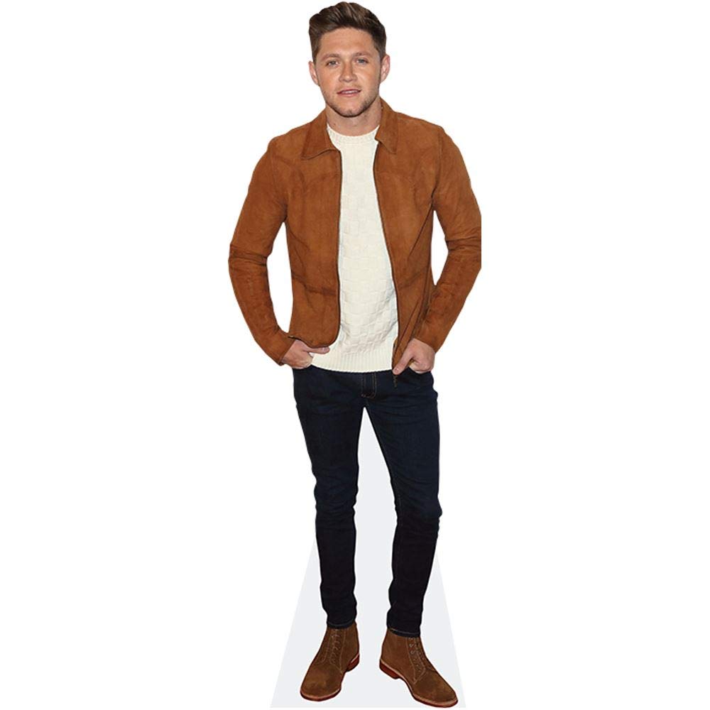 Niall Horan Full Body Picture