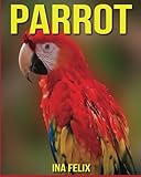 Alex the Parrot: No Ordinary Bird: A True Story: Stephanie Spinner ...