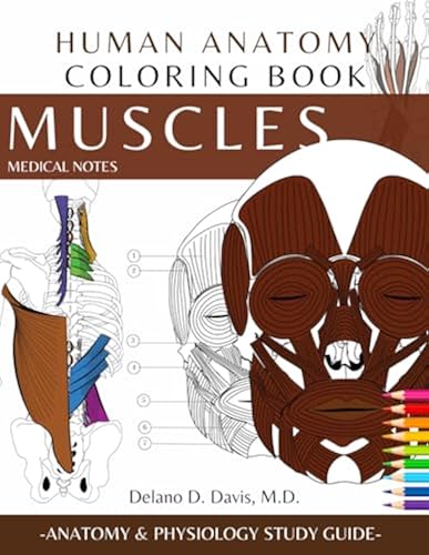 Human Anatomy Coloring Book: Muscles. Medical Notes | Detailed ...