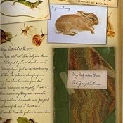 Amazon.fr - Beatrix Potter A Journal - Beatrix Potter - Livres