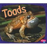 The Hidden Life of a Toad: Doug Wechsler: 9781580897389: Amazon.com: Books