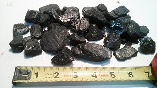 Just Ordered 25# of Nut Coal - AR15.COM