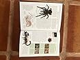 Smithsonian Handbooks: Insects (Smithsonian Handbooks) (DK Smithsonian ...
