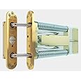 Perko Power R102 Door Closer, brass, polished - Amazon.com