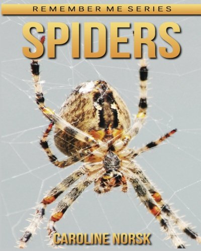 Spiders Emergent Readers – In All You Do