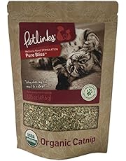 Catnip | Amazon.com