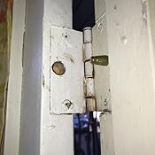 Door Hinge Security Pins / Screws / Stud, 3-Pack Kit - - Amazon.com