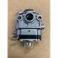 Amazon.com: Carburetor Assembly Fits Legend Force 46cc Gas Tiller ...