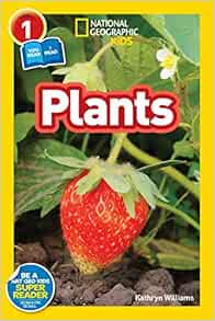 13 Fun and Engaging Plant Life Cycle Books for Elementary Students