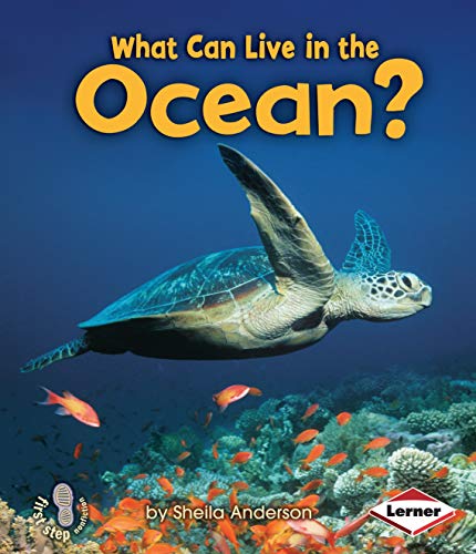Nonfiction Books About the Ocean for Preschoolers