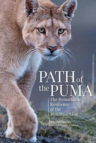 Path of the Puma: The Remarkable Resilience of the Mountain Lion ...