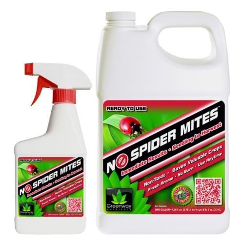 Buy 1 gal. - No Spider Mites RTU - Insect and Mite Control ...