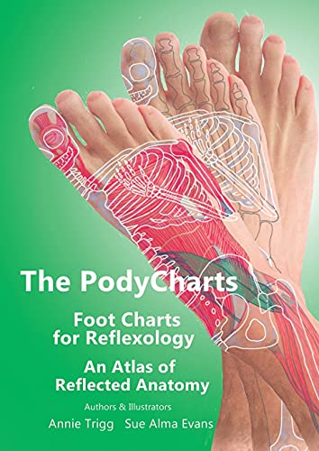 The PodyCharts Foot Charts for Reflexology: An atlas of reflected ...
