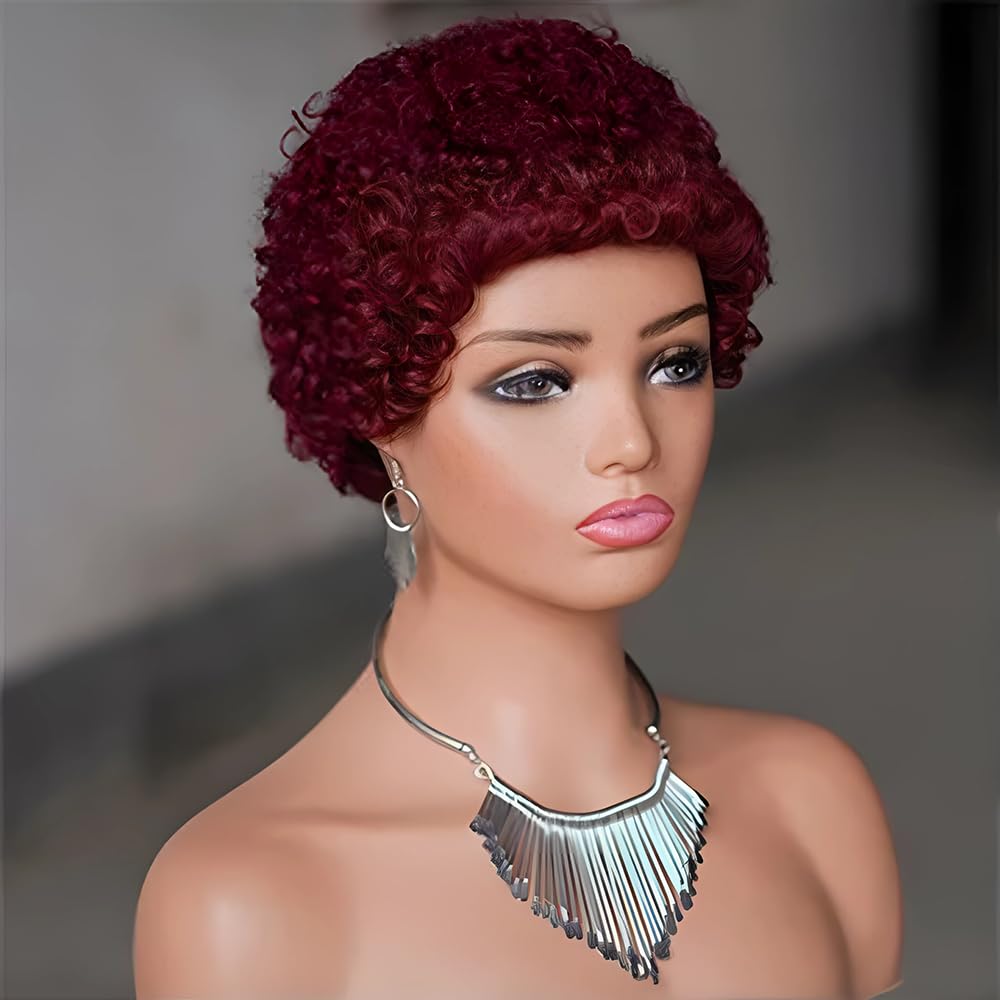 QITAQOTA Pixie Cut Wig Short Wigs For Black Women Short Curly Wig Curly ...