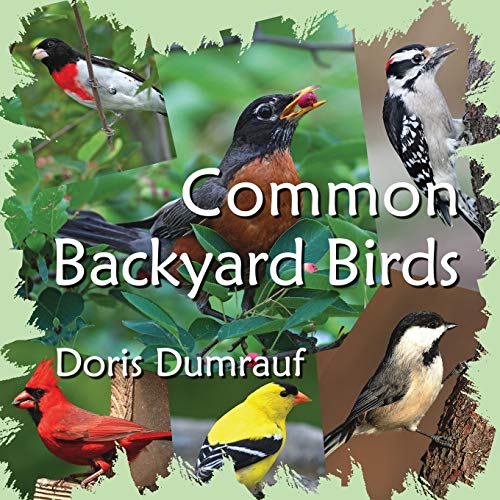 Book review of Common Backyard Birds - Readers' Favorite: Book Reviews ...