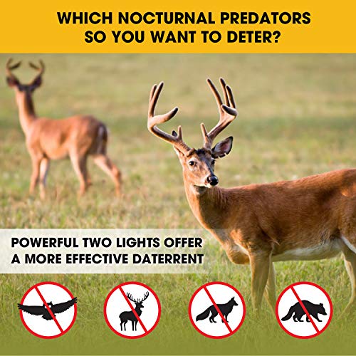 KEXMY 4 Pack Solar Animal Repellent -Predator Repellent with Ultrasonic ...