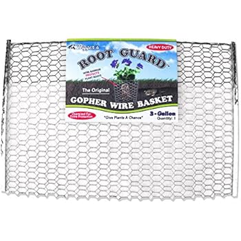 Amazon.com : 12 QTY Digger's RootGuardTM 3-Gallon Heavy Duty Gopher ...