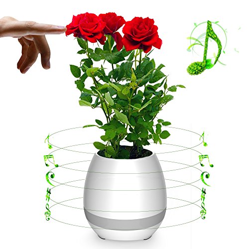 Buy Kingkok Cute Responsive Bluetooth Flower Pot Touch-singing ...