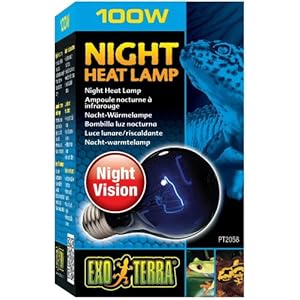 Top 10 Best Light For Leopard Gecko: Reviews & Guide 2019