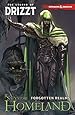 Dungeons & Dragons: The Legend of Drizzt Volume 1 - Homeland: R. A ...