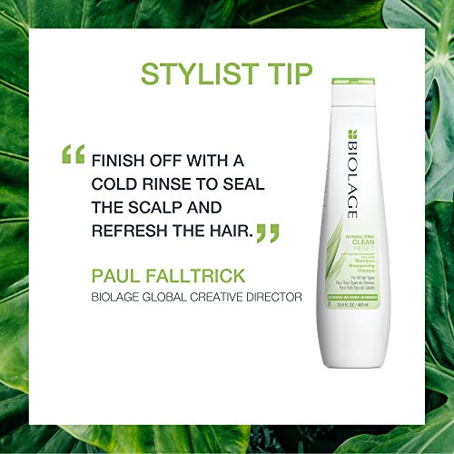 Biolage Normalizing Clean Reset Shampoo | Intense Cleansing Treatment ...