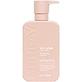 Amazon.com : MONDAY Haircare Volume Shampoo 12oz for Thin, Fine, and ...