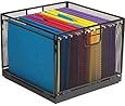 Amazon.com : Staples Mesh File Cube, Black, 10 3/4"H x 13 1/2W x 13 1/2 ...