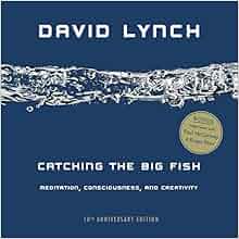 Amazon.com: Catching the Big Fish: Meditation, Consciousness, and ...