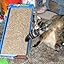 Amazon.com : Cosmic Alpine Scratcher : Scratching Pads : Pet Supplies
