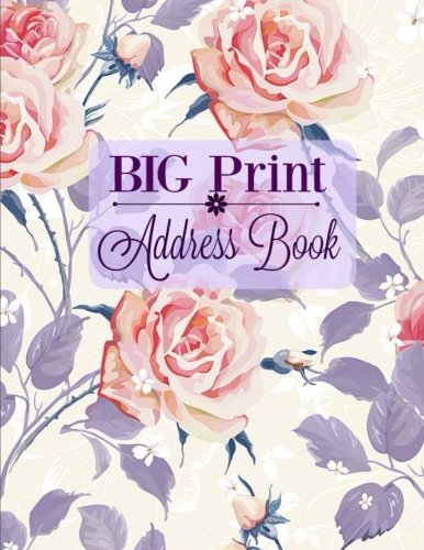 Amazon.com: BIG Address Book (Super SIZE Address Book with Large Print ...