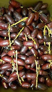 Barhi Dates "Fresh Khalal Stage" from California 45 lbs (3/15 lbs Boxes ...