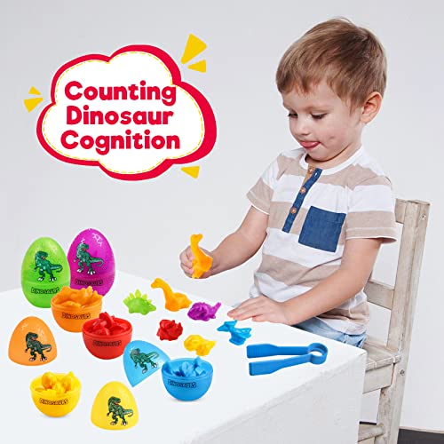 Counting Dinosaur Color Sorting Toys with Dinosaur Eggs Montessori ...