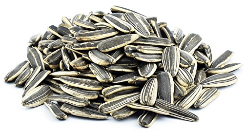 Compare Price: israeli sunflower seeds - on StatementsLtd.com