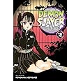 Amazon.com: Demon Slayer: Kimetsu no Yaiba, Vol. 17 (17): 9781974710614 ...