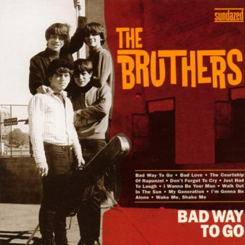 Bruthers - Bad Way To Go - Vinyl Seeker